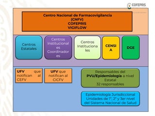1._Panorama_de_la_FV_en_M_xico.pdf