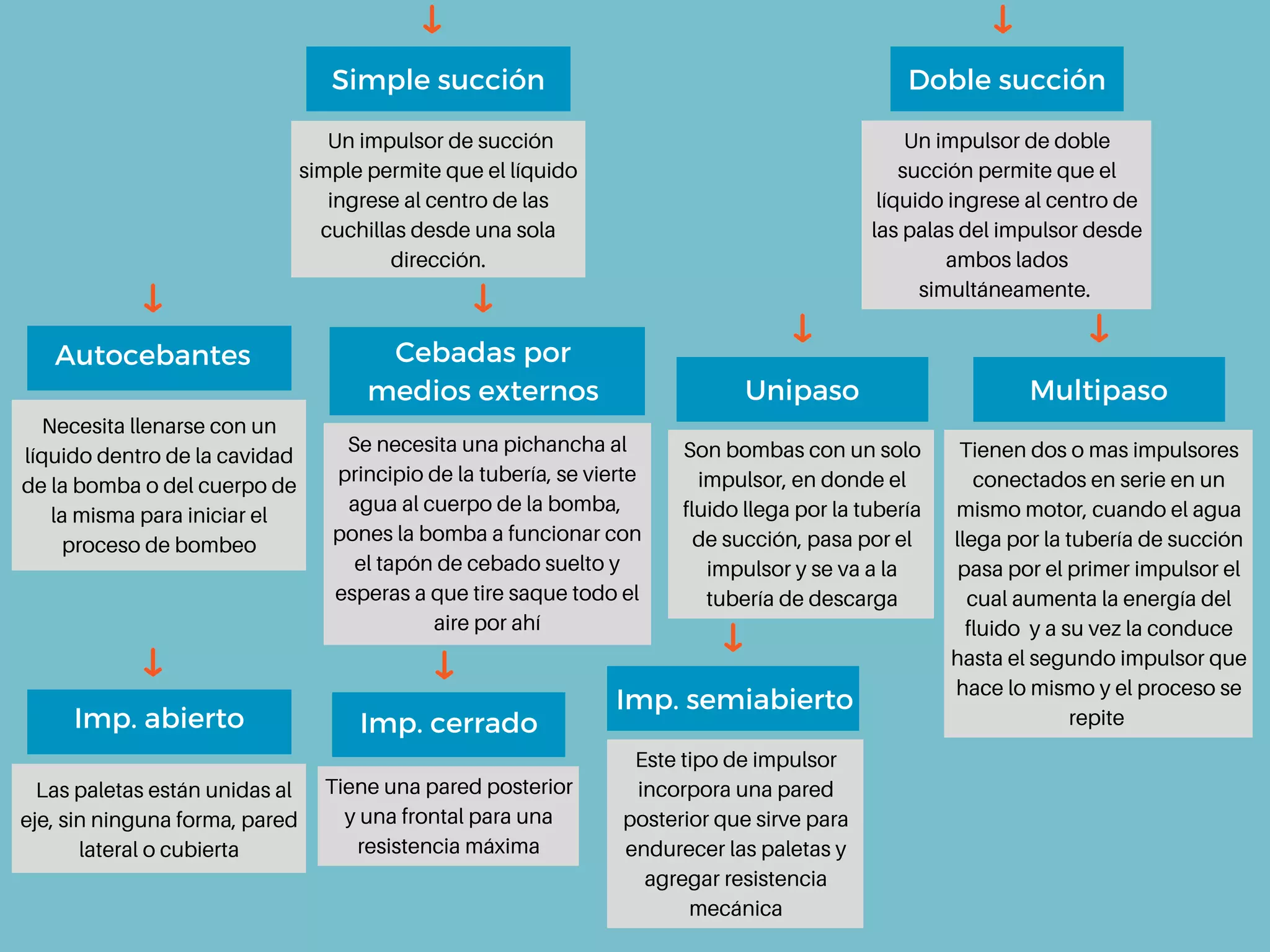 1.Mapa-conceptual.pdf