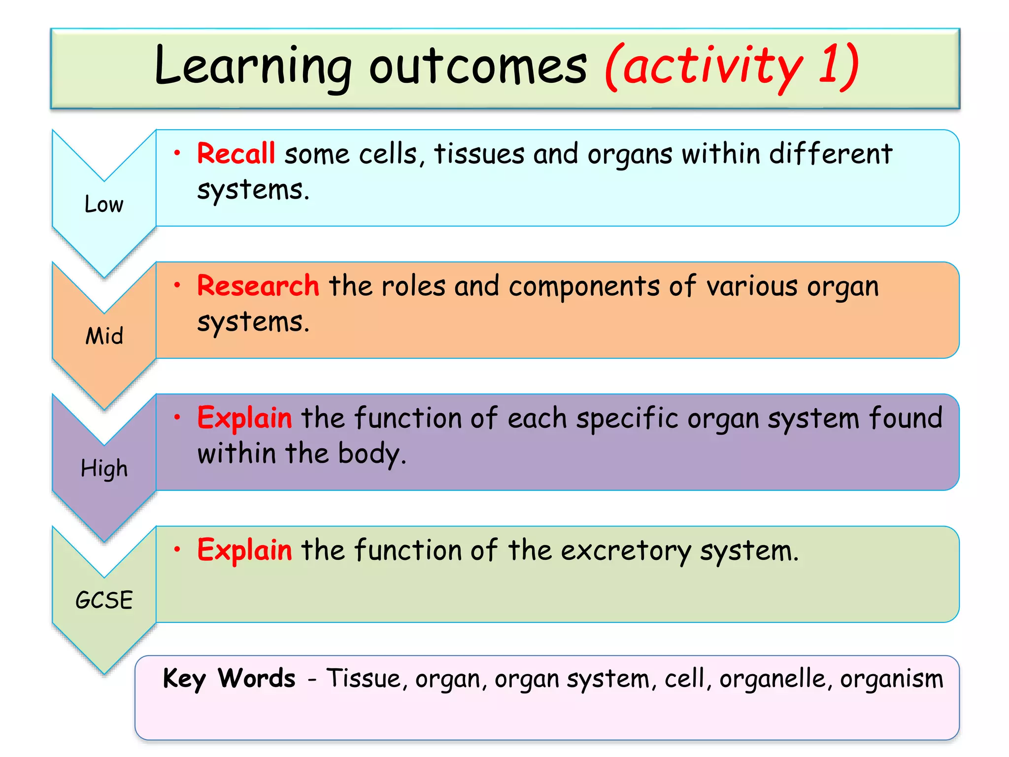 1.7b-Organ-systems-PP.ppt