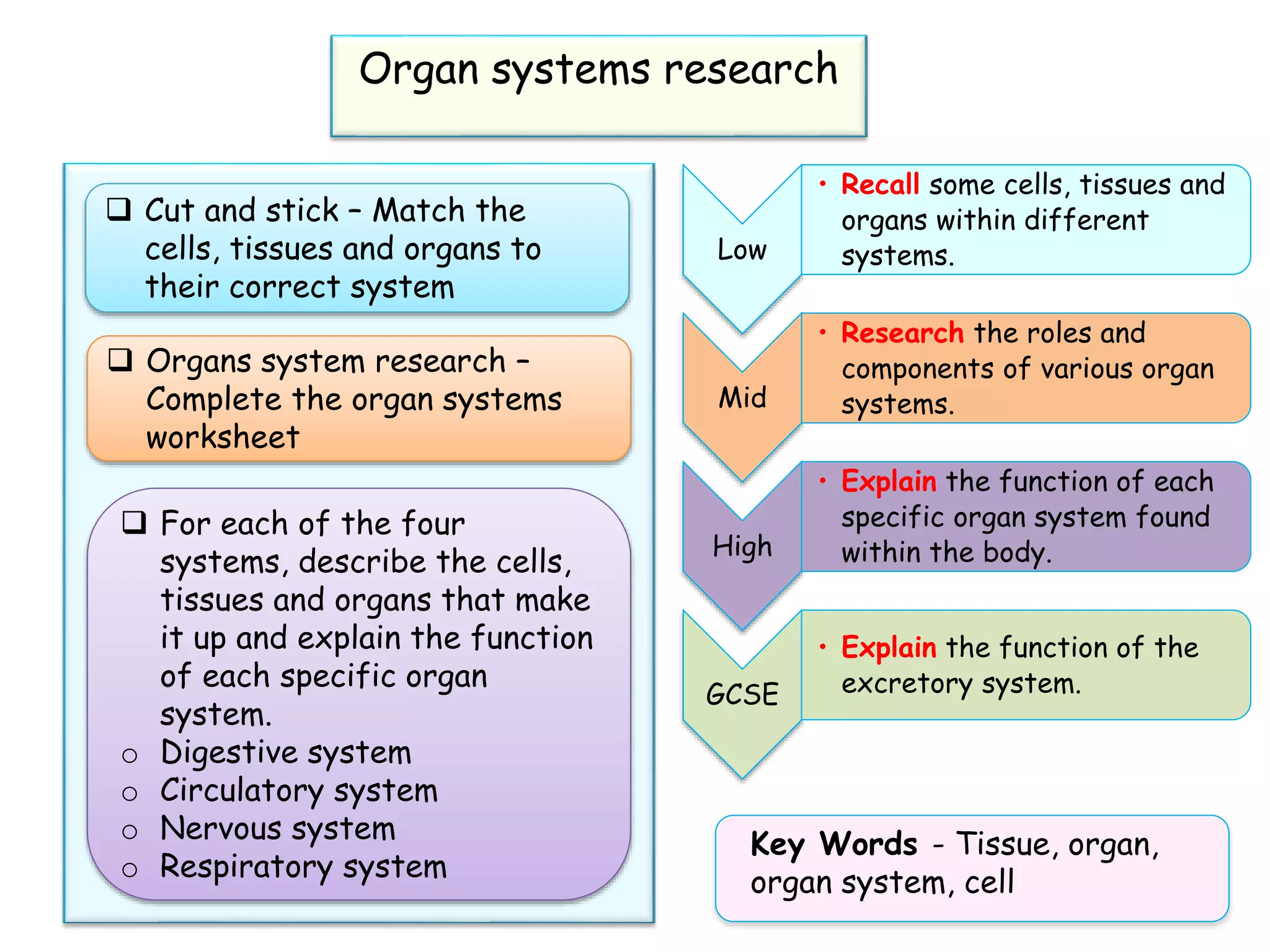 1.7b-Organ-systems-PP.ppt