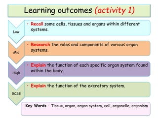 1.7b-Organ-systems-PP.ppt