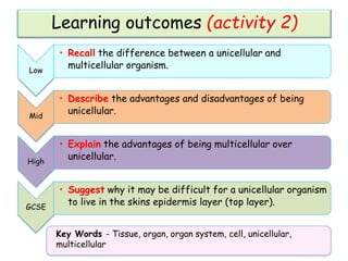 1.7b-Organ-systems-PP.ppt