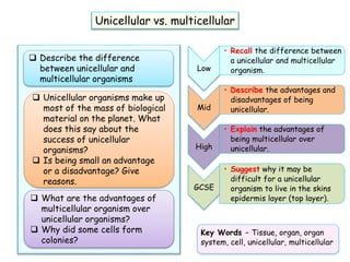 1.7b-Organ-systems-PP.ppt