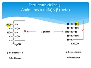 1. Carbohidratos estructura y propiedades.pdf