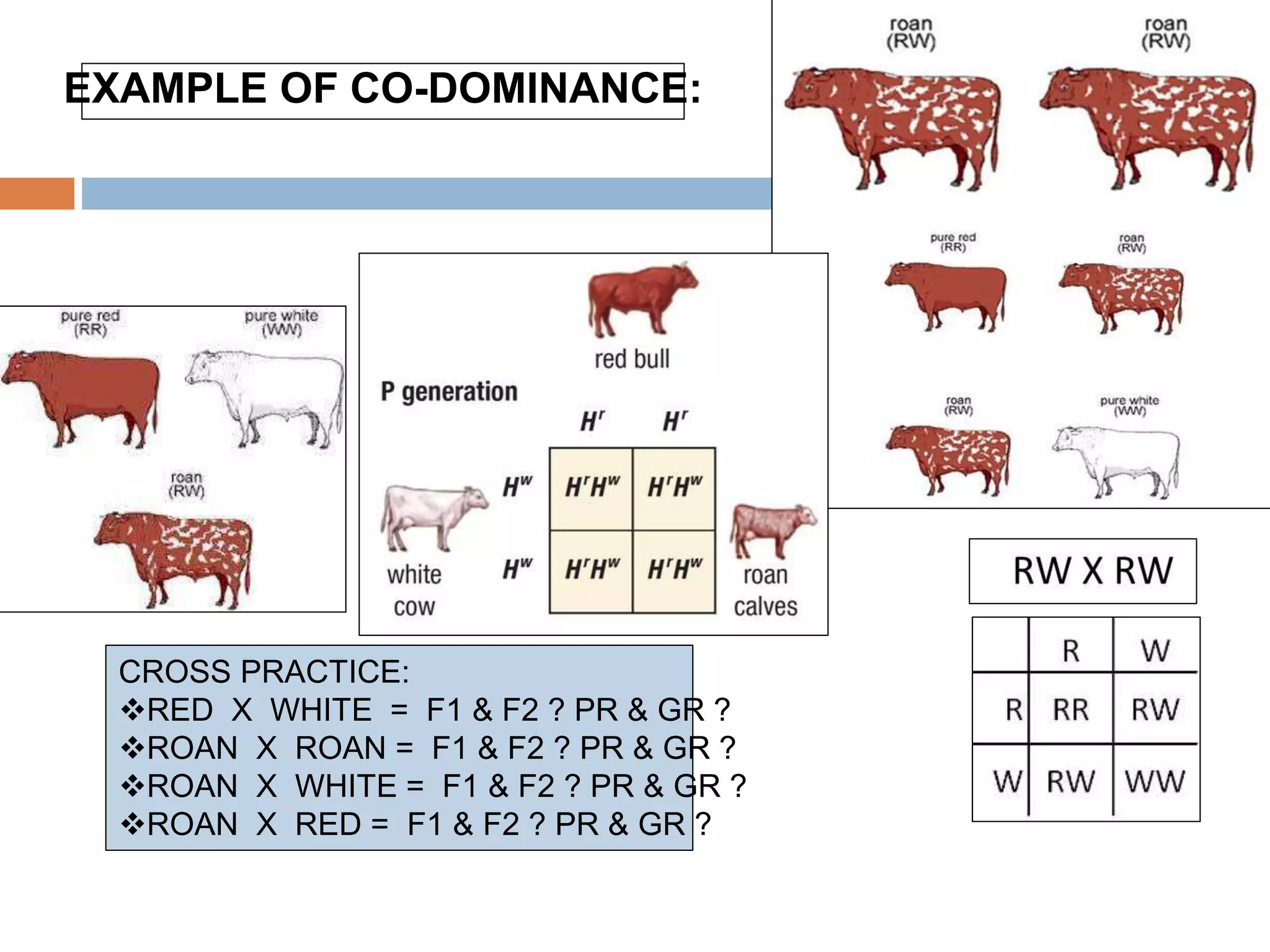 INCOMPLETE AND CO-DOMINANCE.pptx