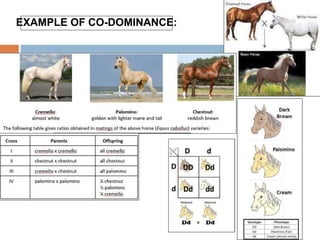 INCOMPLETE AND CO-DOMINANCE.pptx