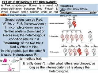 INCOMPLETE AND CO-DOMINANCE.pptx