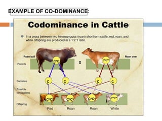 INCOMPLETE AND CO-DOMINANCE.pptx