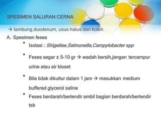 1. Stool Culture.ppt