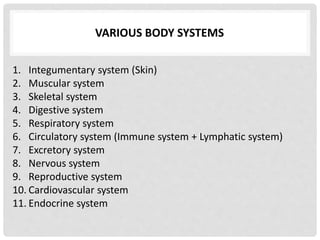 1. Introduction to human body.pptx