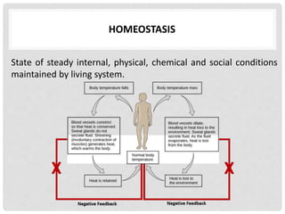 1. Introduction to human body.pptx