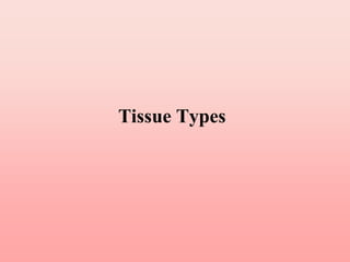 1.EpithelialTissueWEB.ppt