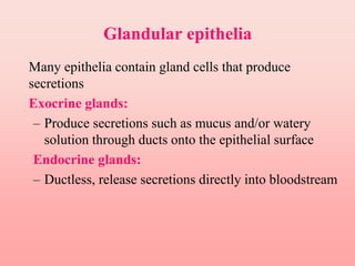 1.EpithelialTissueWEB.ppt