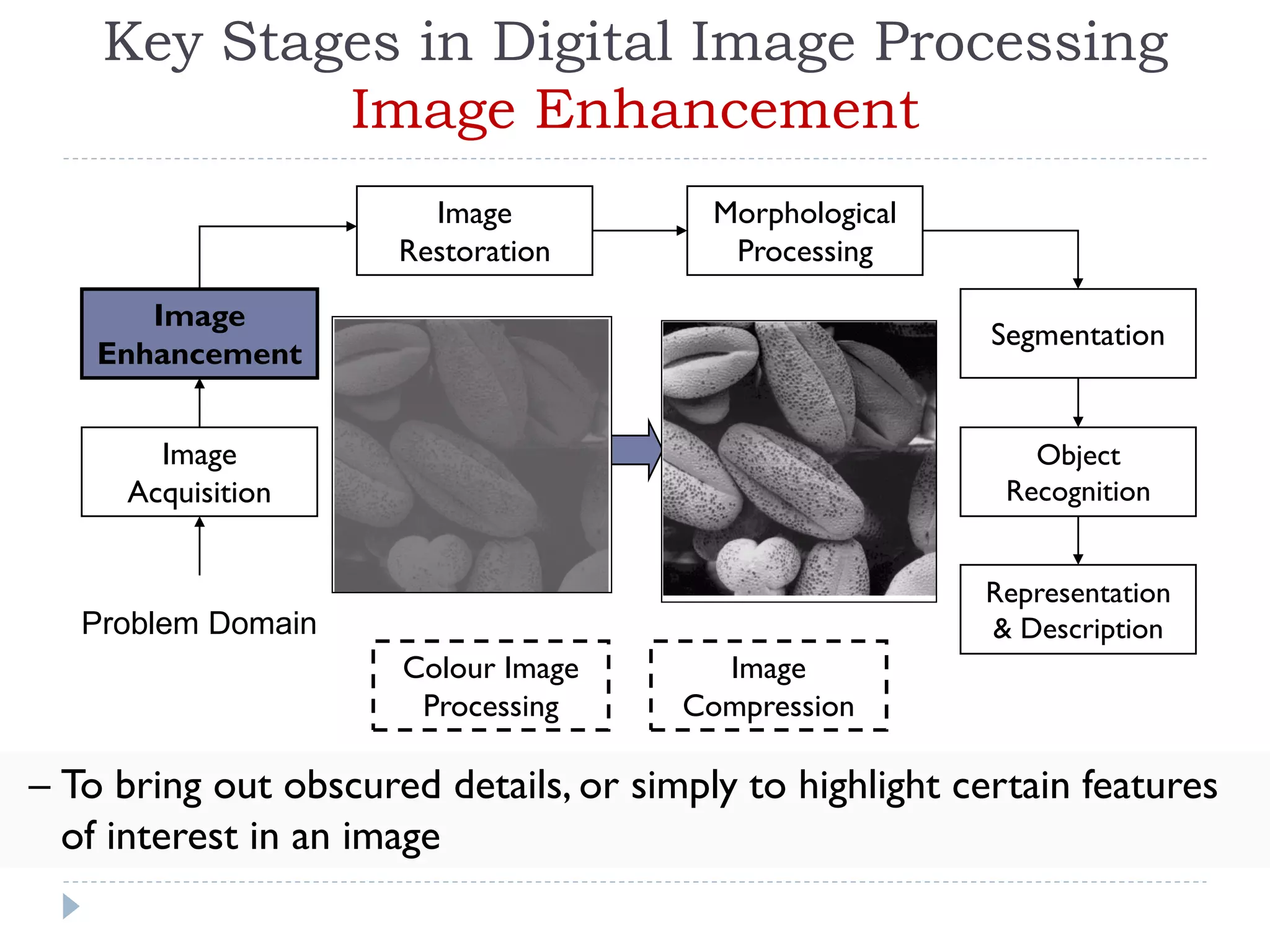 1. IP Introduction.pdf