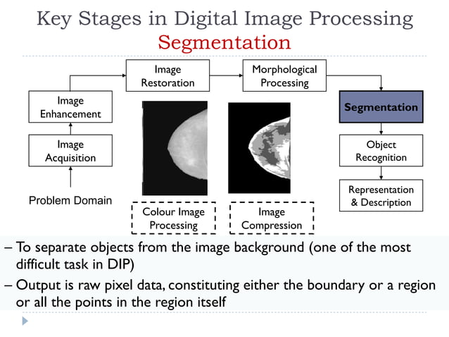 1. IP Introduction.pdf