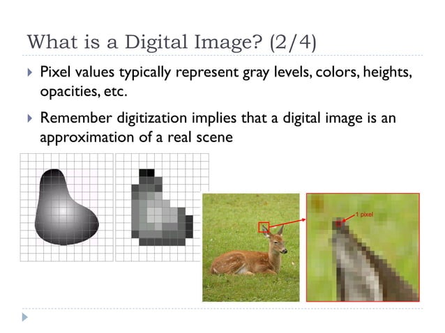 1. IP Introduction.pdf
