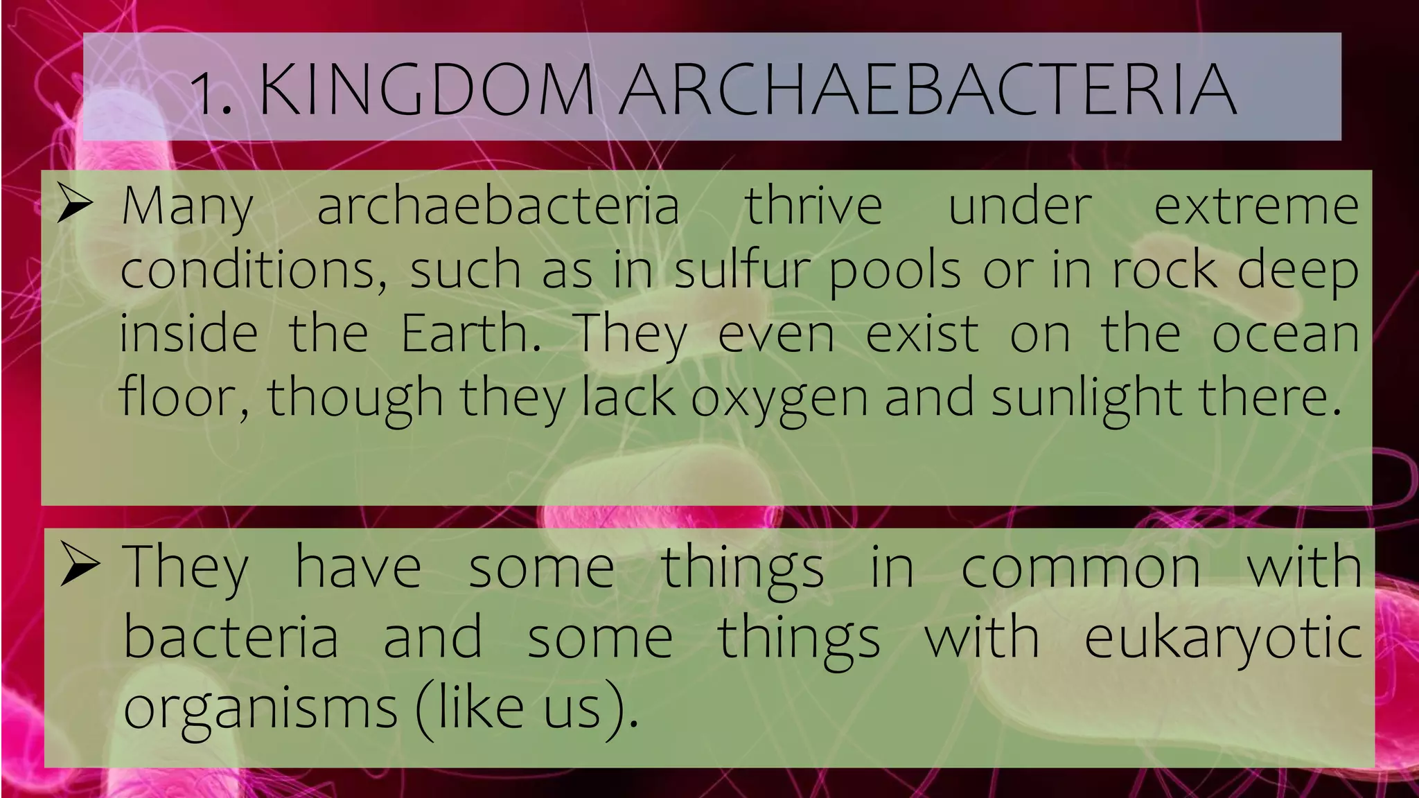 1.-KINGDOM-ARCHAEBACTERIA-EUBACTERIA (1).pptx