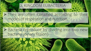1.-KINGDOM-ARCHAEBACTERIA-EUBACTERIA (1).pptx