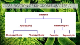 1.-KINGDOM-ARCHAEBACTERIA-EUBACTERIA (1).pptx