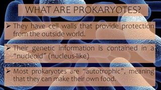 1.-KINGDOM-ARCHAEBACTERIA-EUBACTERIA (1).pptx