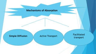 digestion and absorption of carbohydrate.pptx