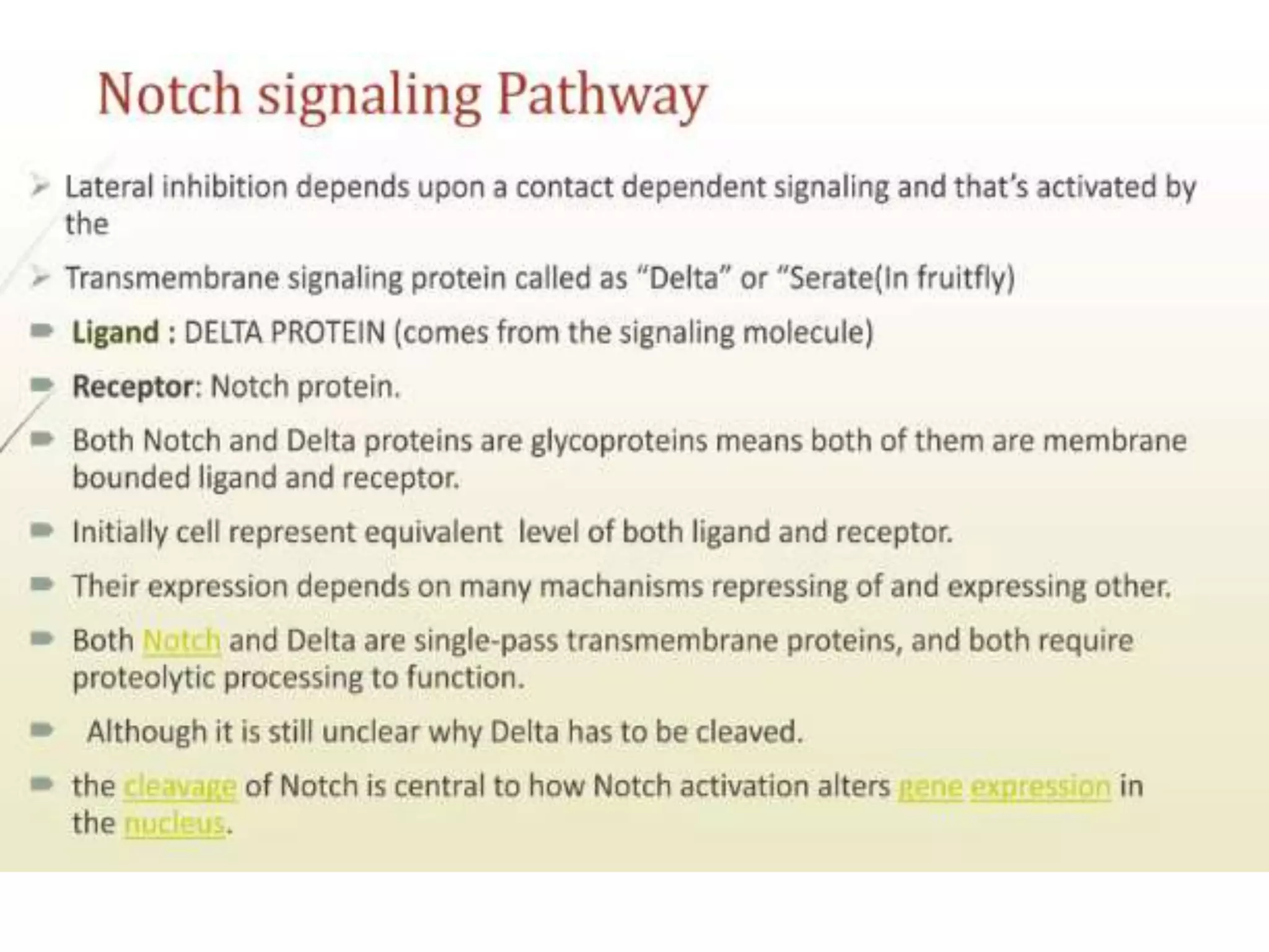 NOTCH signaling |Lateral inhibition | PPTX