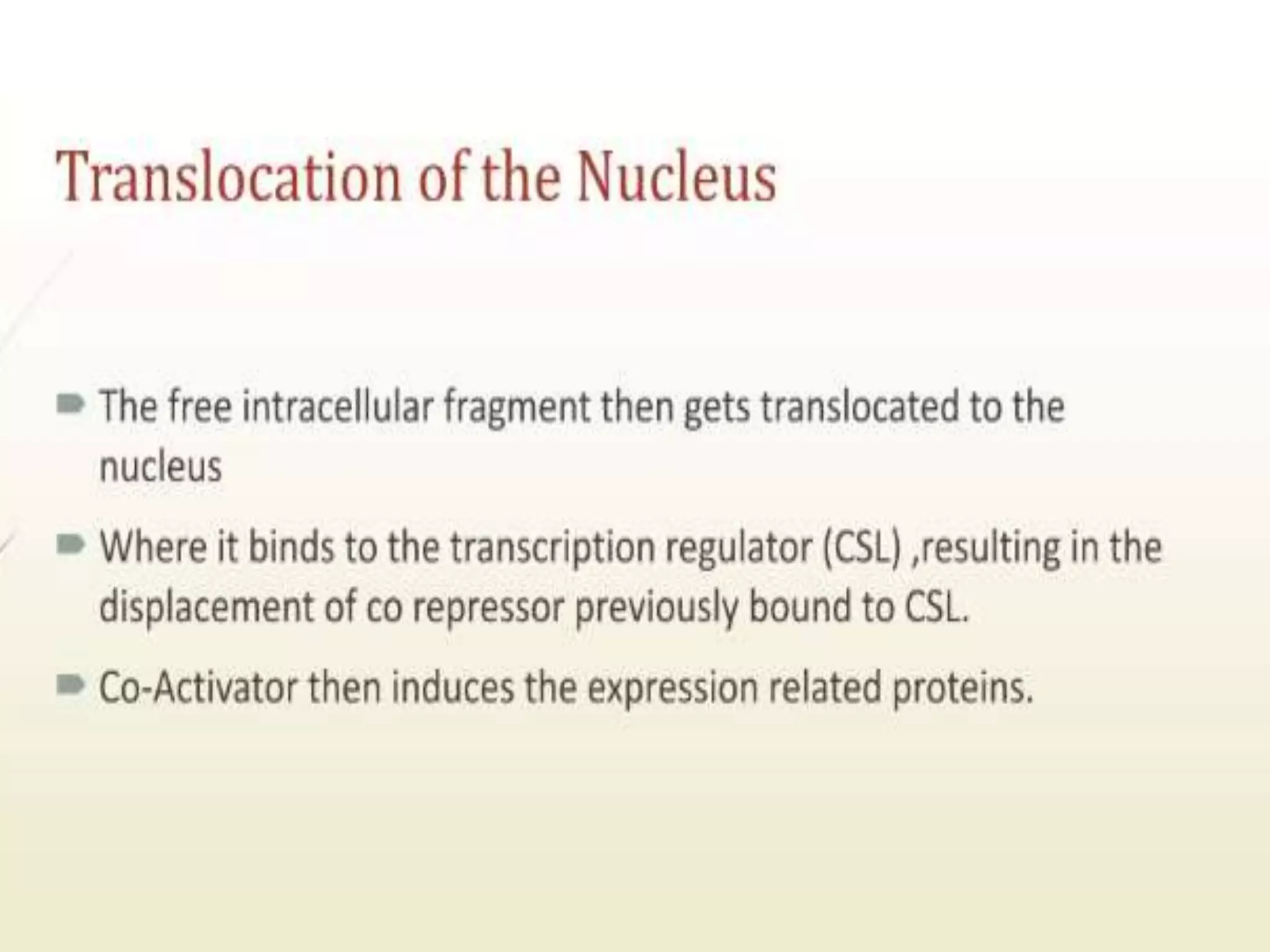 NOTCH signaling |Lateral inhibition | PPTX