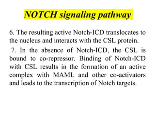 NOTCH signaling |Lateral inhibition | PPTX
