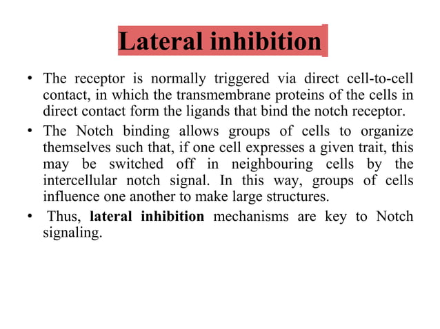 NOTCH signaling |Lateral inhibition | PPTX