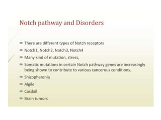 NOTCH signaling |Lateral inhibition | PPTX