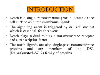 NOTCH signaling |Lateral inhibition | PPTX