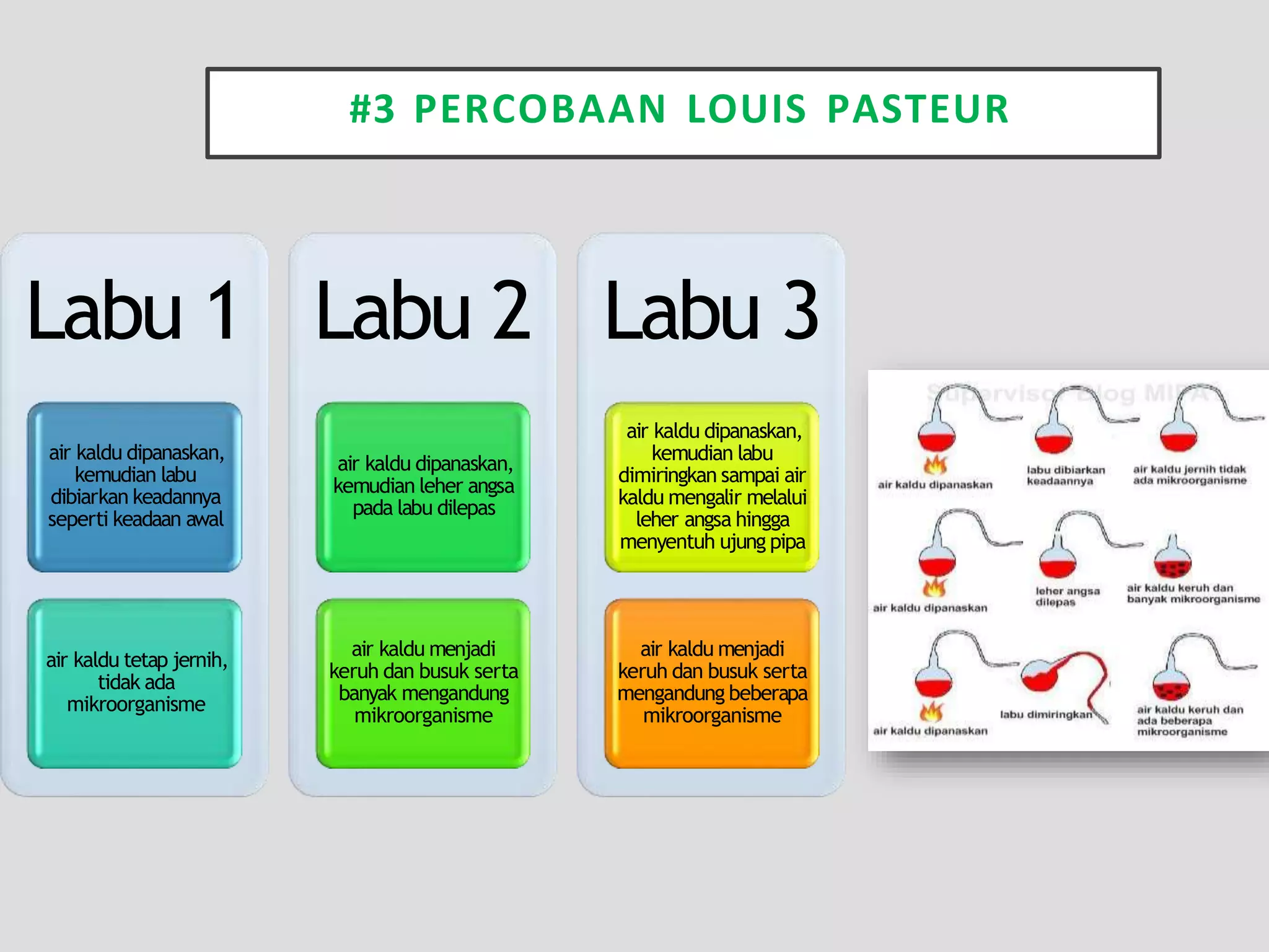 1. Ruang lingkup biologi dan asal usul kehidupan.pptx