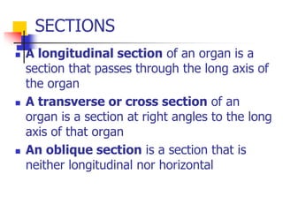 1. Anatomical Terms.ppt
