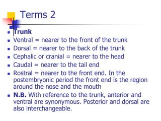 1. Anatomical Terms.ppt