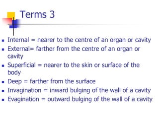 1. Anatomical Terms.ppt
