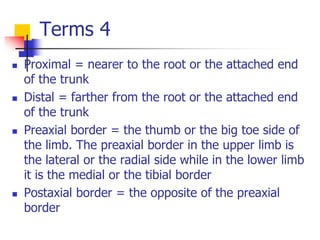1. Anatomical Terms.ppt