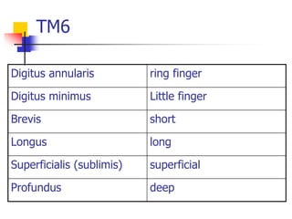 1. Anatomical Terms.ppt