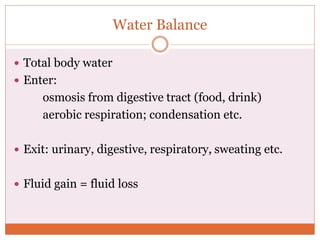 1.2 Water Imbalance.pptx