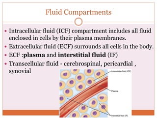 1.2 Water Imbalance.pptx