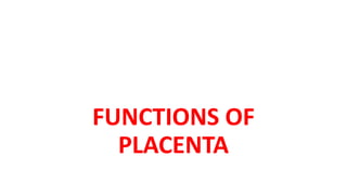 Functions of the Placenta Explained | PPT