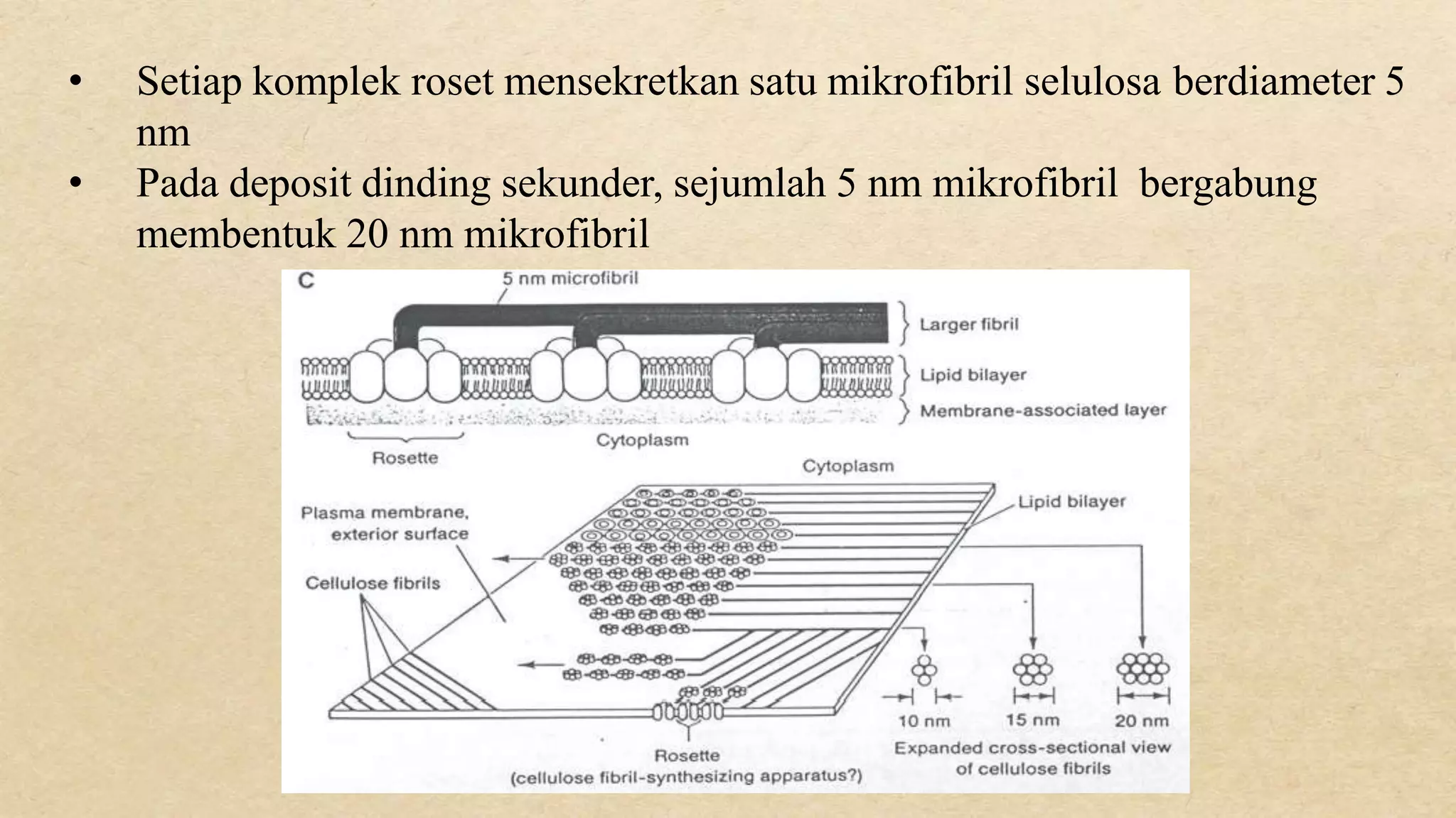 1. PPT Kelompok 1 Wilman Taupik_ Daniel Manahan.pptx