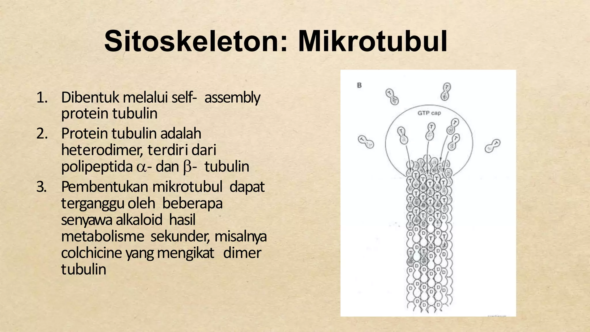 1. PPT Kelompok 1 Wilman Taupik_ Daniel Manahan.pptx