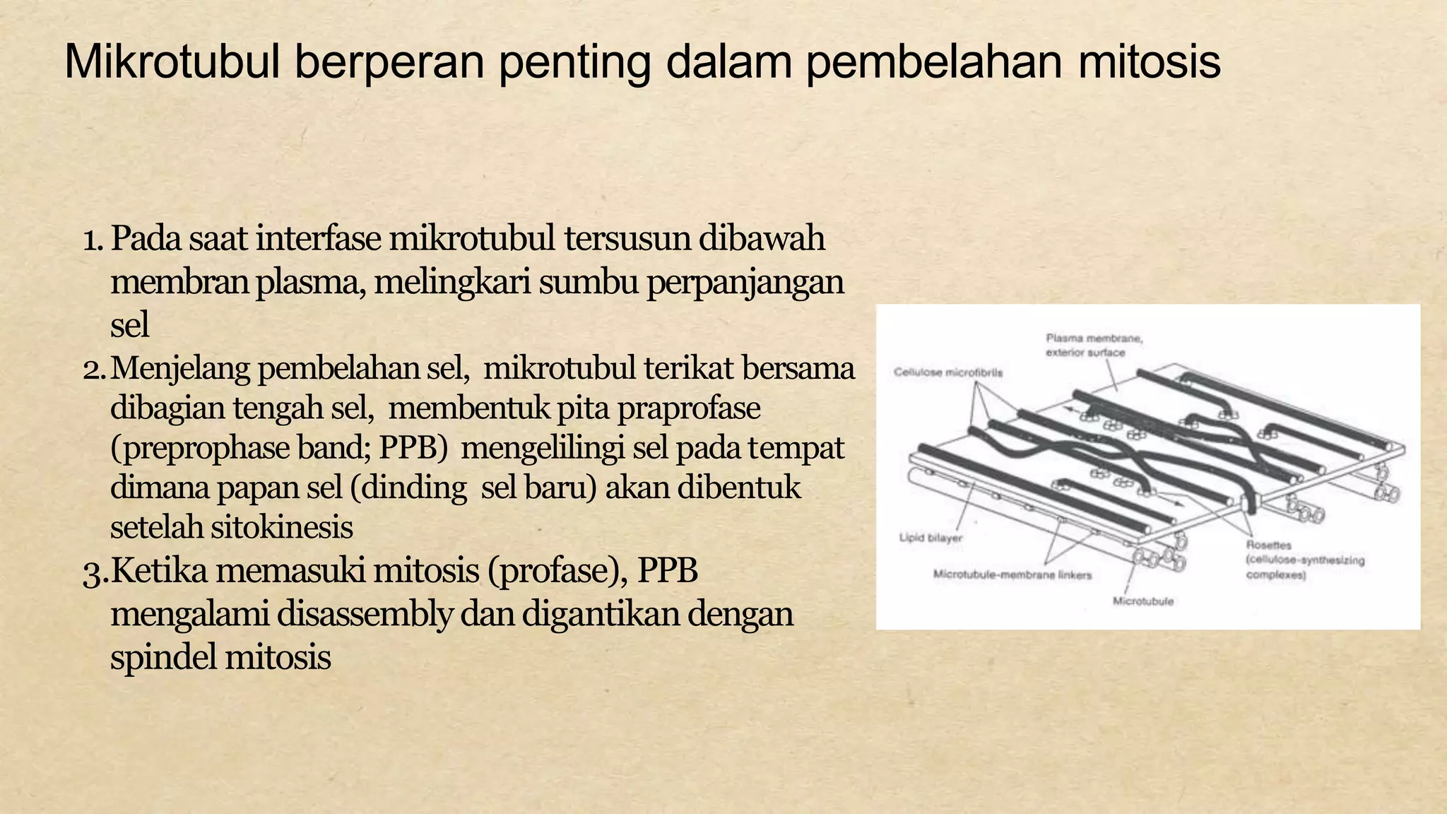 1. PPT Kelompok 1 Wilman Taupik_ Daniel Manahan.pptx