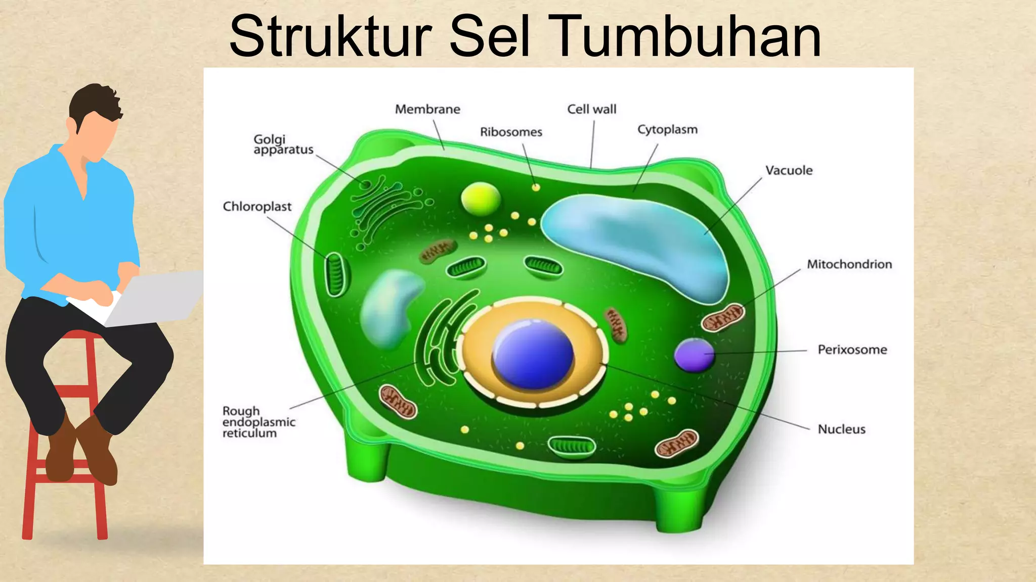 1. PPT Kelompok 1 Wilman Taupik_ Daniel Manahan.pptx