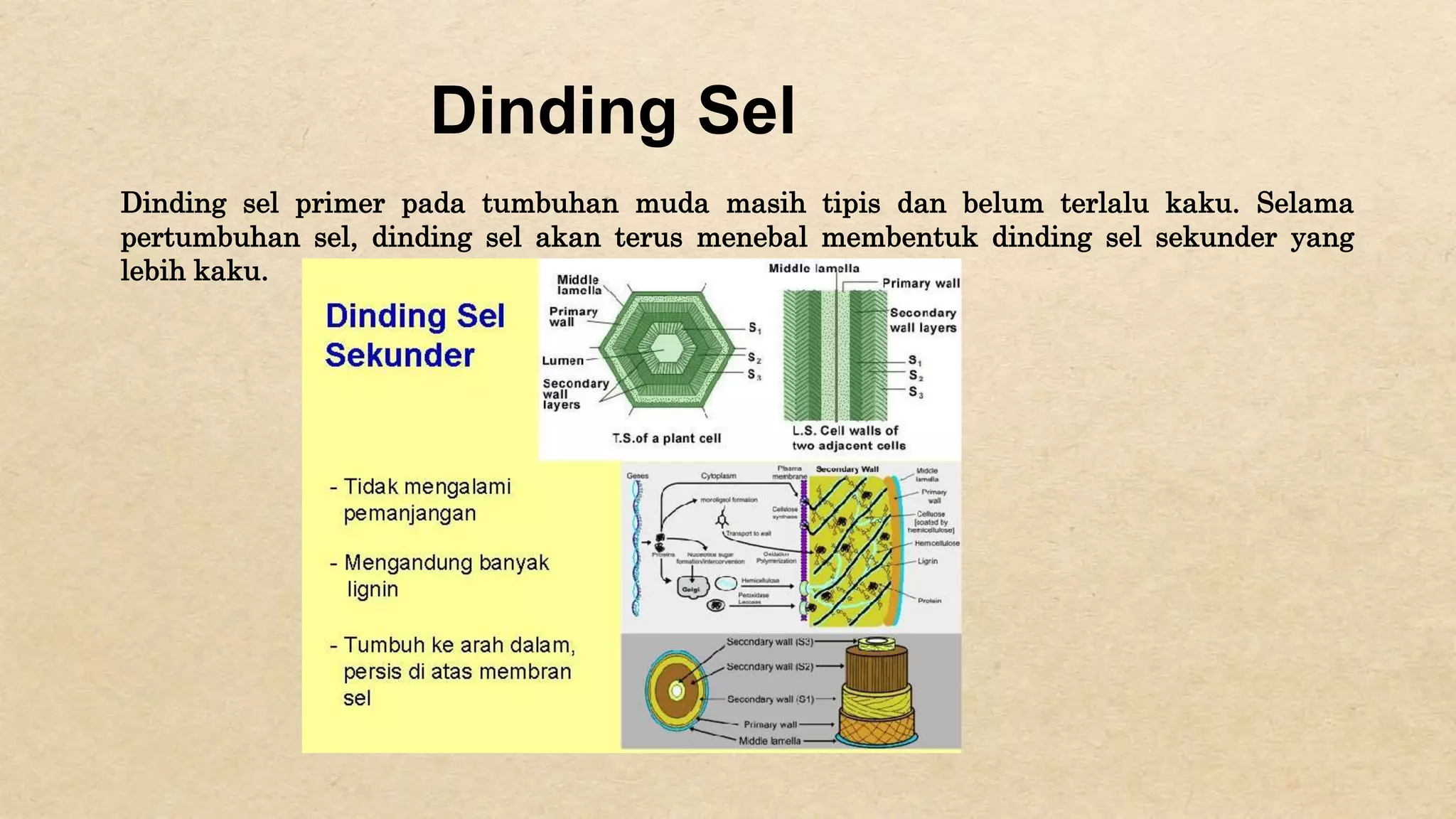 1. PPT Kelompok 1 Wilman Taupik_ Daniel Manahan.pptx