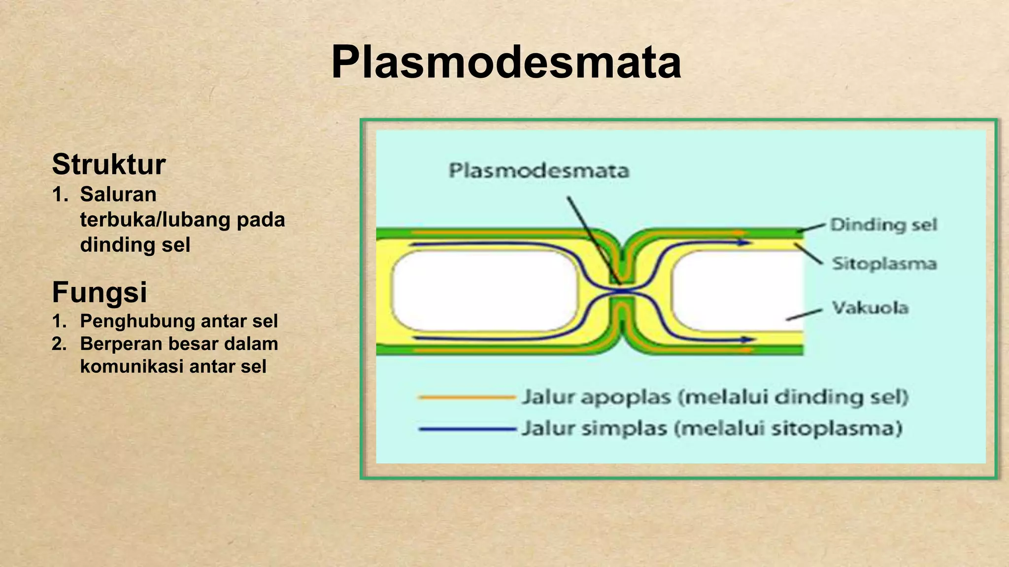 1. PPT Kelompok 1 Wilman Taupik_ Daniel Manahan.pptx