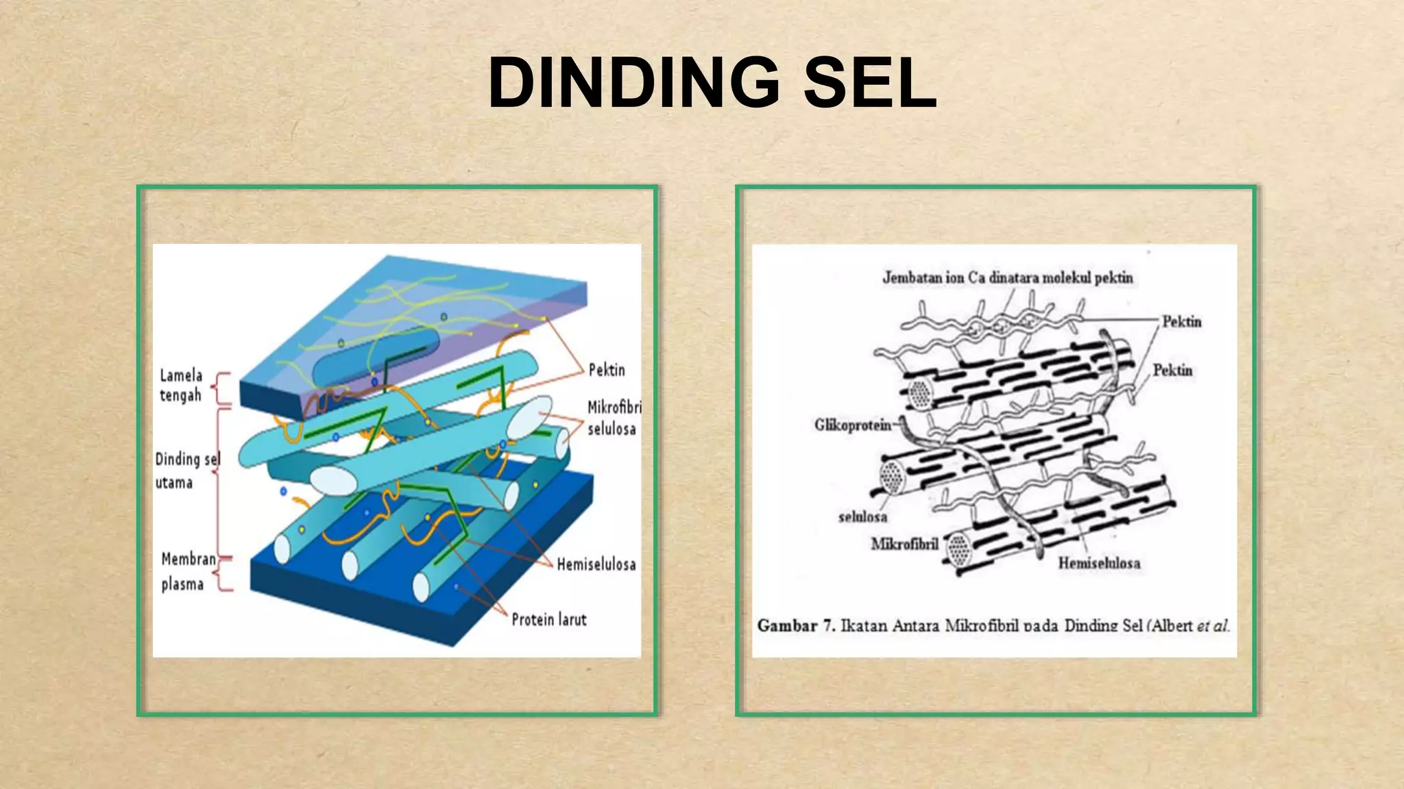 1. PPT Kelompok 1 Wilman Taupik_ Daniel Manahan.pptx