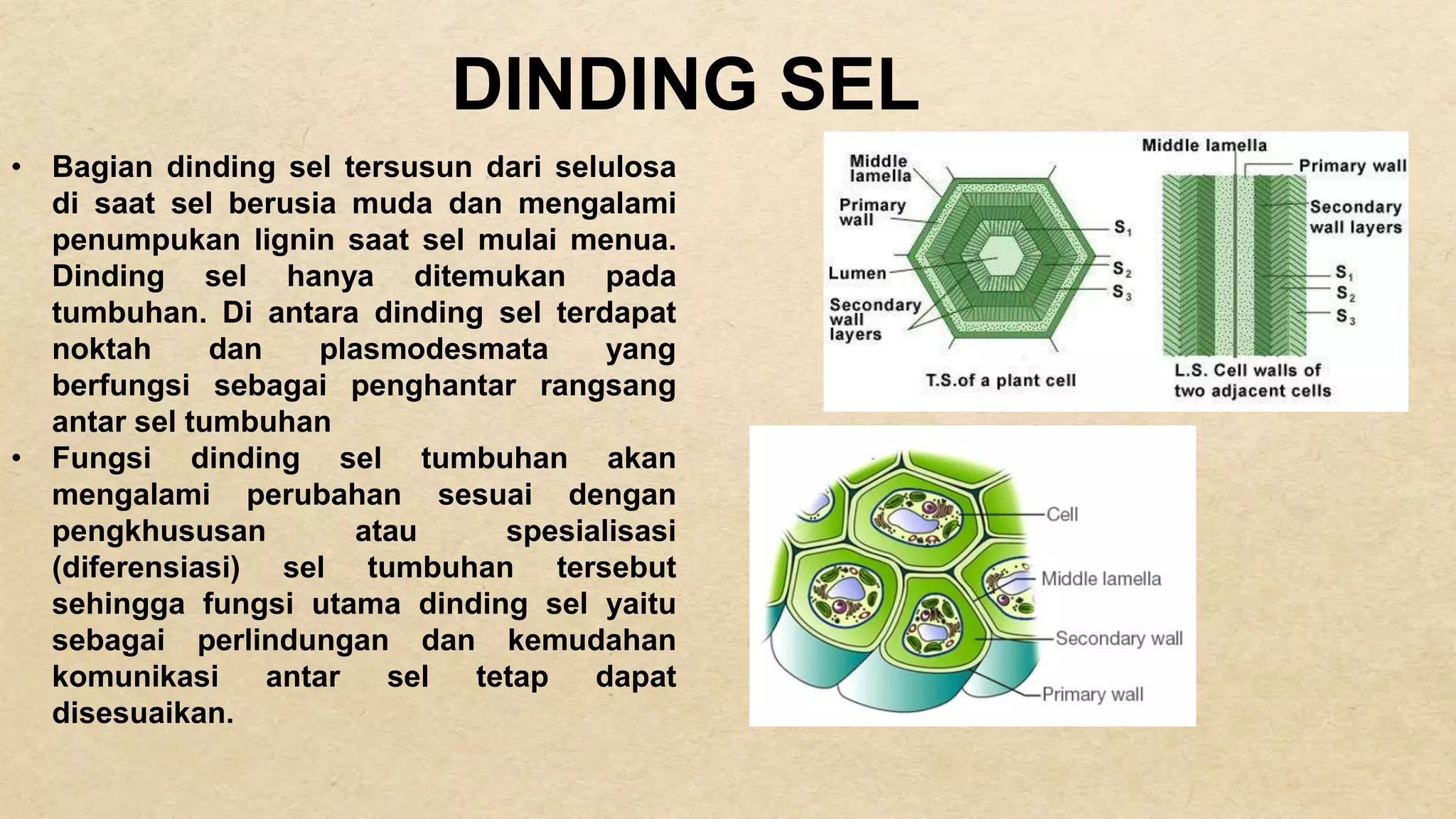 1. PPT Kelompok 1 Wilman Taupik_ Daniel Manahan.pptx