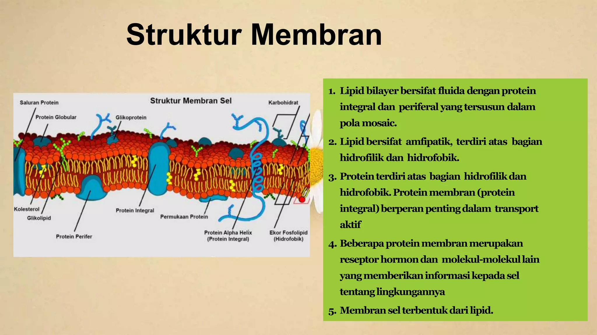 1. PPT Kelompok 1 Wilman Taupik_ Daniel Manahan.pptx
