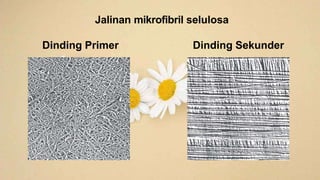 1. PPT Kelompok 1 Wilman Taupik_ Daniel Manahan.pptx